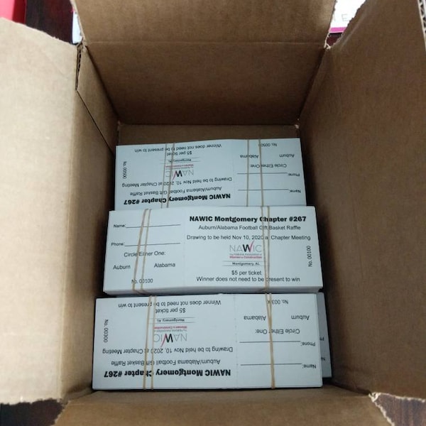 250 RAFFLE TICKETS Custom Printed Numbered Raffle Tickets Fundraiser ...