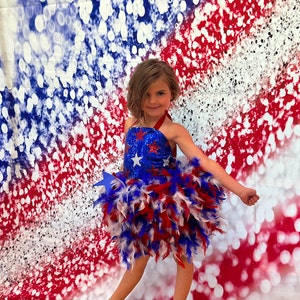 White Swan Iridescent Sequin Girls Feather Pageant Tutu Dress, Girls ...