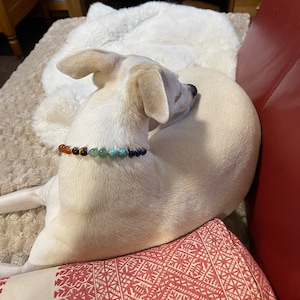 Anti Tick Collar for Dog, Em Ceramic, Sodalite and Tiger's Eye ...