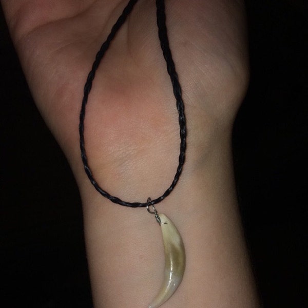 Fox Tooth Necklace - Real Fox Canine Fang on Hand-braided Adjustable ...