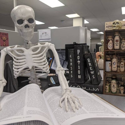 Halloween Apothecary Potion Rack Set of 5 Test Tube Vials in - Etsy