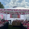 Pink Zebra Table Runner and Black Table Cloth Combo, Pink Zebra Runner ...