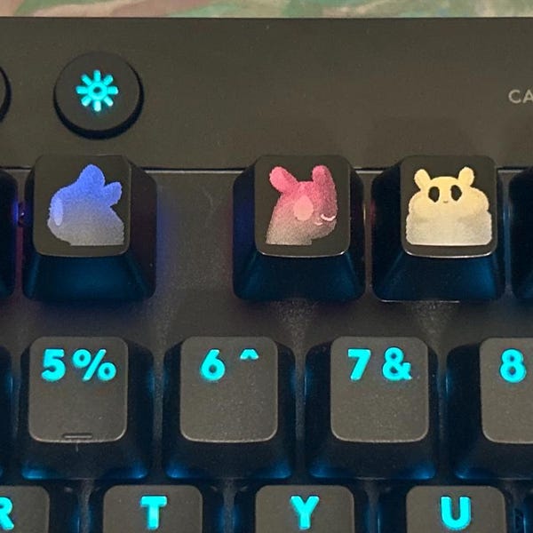 Rainworld Keycap Set, Backlit (4) - Etsy