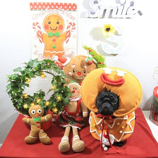 Pet Dog Cat Christmas Gingerbread Man Costume Mascot, Holidays Costume ...