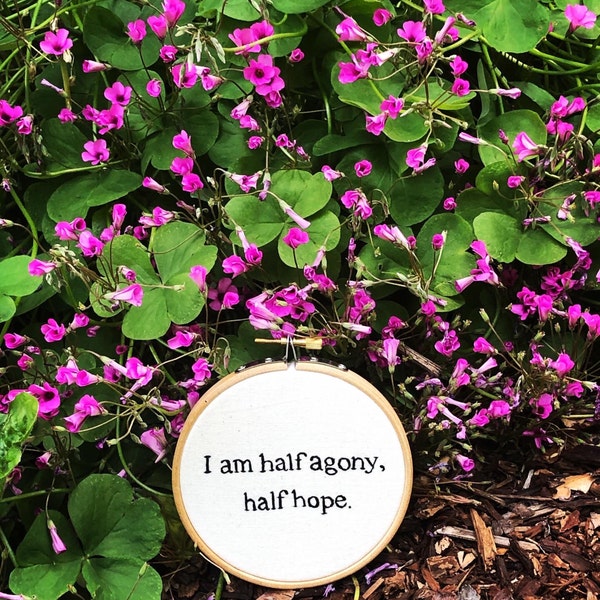 The BFG Roald Dahl. Hand Embroidery. Hoop Art. Children's Book. Wall ...