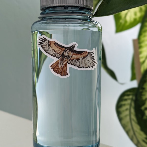 1x3" Red Tailed Hawk Sticker, Water Bottle Sticker, Waterproof, Vermont ...