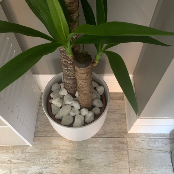 1kg of WHITE Decorative Stones Natural Pebbles Table Decoration ...