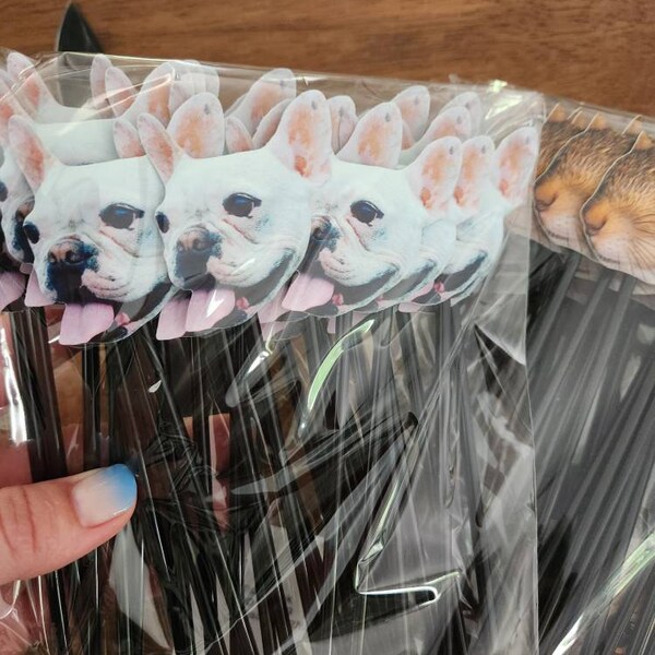 Drink Stirrers Personalized With Dog Face, Pet Birthday Stir Sticks ...