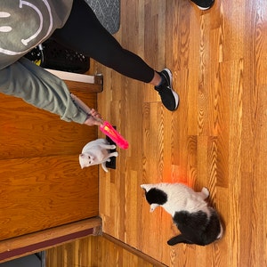 Jesus Christ Fidget Spinner Stay Focused on He Who Died for - Etsy