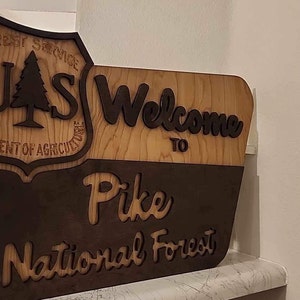 National Forest Service Welcome Sign ACRYLIC NFS Inspired Family Name ...
