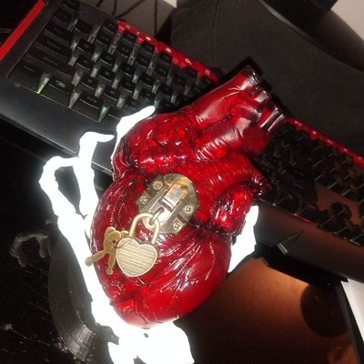 Realistic Heart-shaped Box 2 Styles Anatomical Heart - Etsy