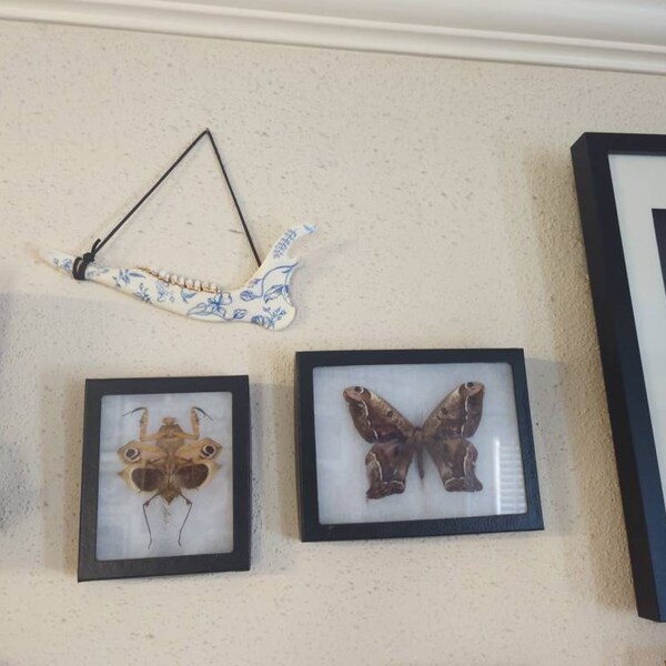 Cottage Core Deer Jawbone Wall Hanging Decor Real Bone Painted Skull ...