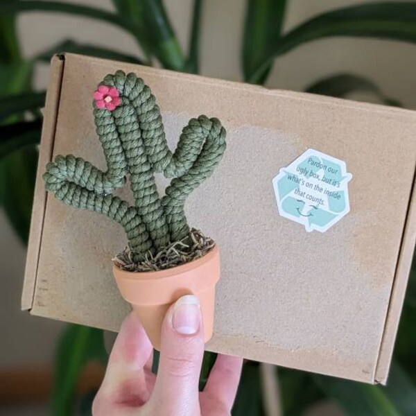Macrame Cactus, Macrame Cacti, Macrame Succulent, Cactus Decor ...