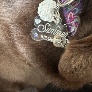 Acrylic Poop Loop Hands Free Poop Carrier Poop Bag Holder - Etsy