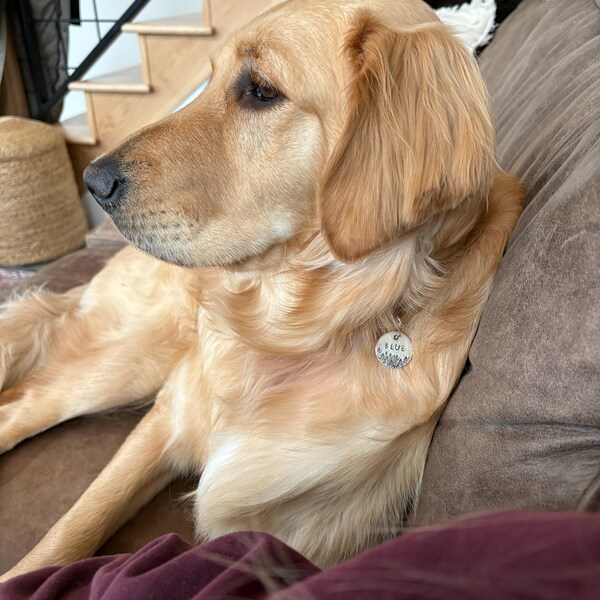 Dog Tag - Personalized With Your Pet Identity - Pet Gift - MJ Lessard ...