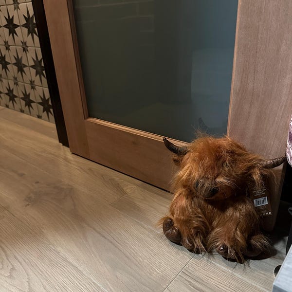 Welly Boot Toppers Country Farm Theme Pig - Etsy