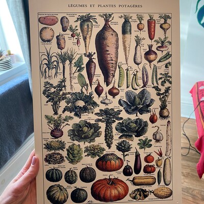 Vintage Botanicals Vegetable Sign, Kitchen Sign, Vintage Sign. Retro ...