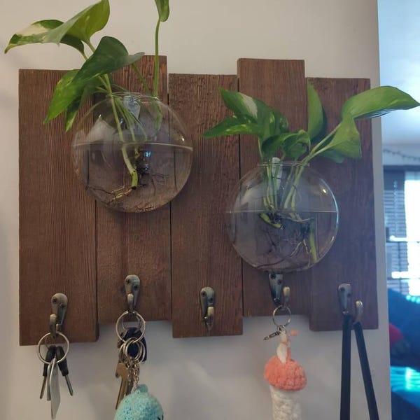 Plant Propagation Station Gift - Hydroponic Station for Growing Plant ...