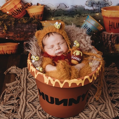 Winnie the Pooh Honey Pot - Etsy