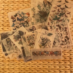 Writable 45pcs/pack Burned Paper Stickers Pack Bojo Sticker - Etsy