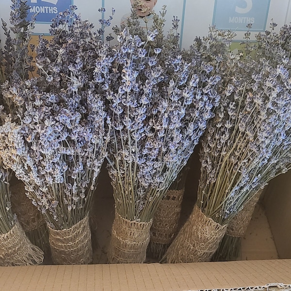 Dried Lavender Bundles 250 Stems Grade A| Lavender Bouquet | OWN ...