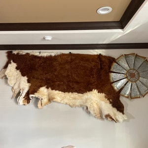 Large Deer Antler Buttons Lot of 25 Pieces Stock No. L-BUTTONS - Etsy