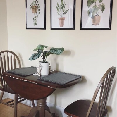 Botanical Print Set, Living Room Wall Art, Home Decor Gift, Houseplant ...