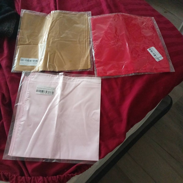 Large Rose of Jericho Resurrection Plant Rosa De Jerico Reviving House ...