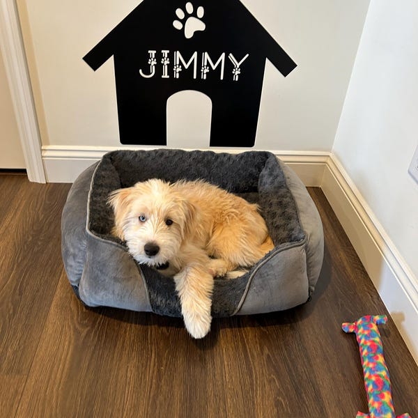 Yoga Vinyl Wall Decal, Yoga Studio Sign Wall Decor, Namaste, Lotus ...