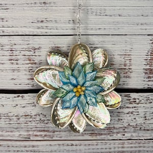 Calico Atlantic Scallop Seashells Argopecten Gibbus 10 Shells Approx. 2 ...