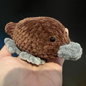 No Sew Pill Bug Crochet Pattern - Etsy