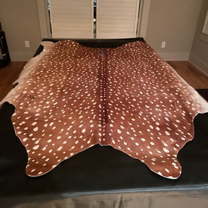 Springbok Hide Natural XXL African SPRINGBOK Skin Approx. - Etsy