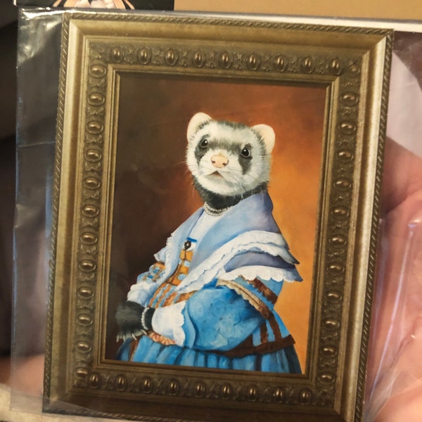 Ferret, Ferret Magnet, Refrigerator Magnet, Magnet, Ferret Clothes ...