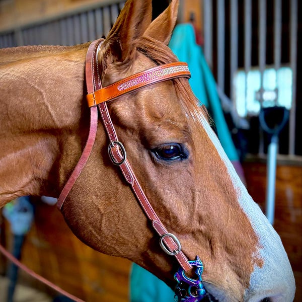 Snap Browband Diy- Empty Channel Browband - Make Your Own Browband ...