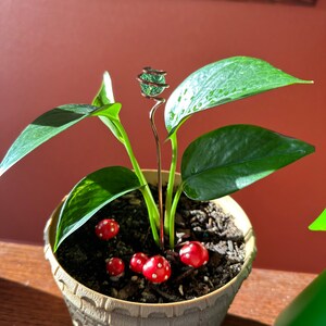 Electro Culture Rods for Plants, Copper Electroculture Garden Stake ...