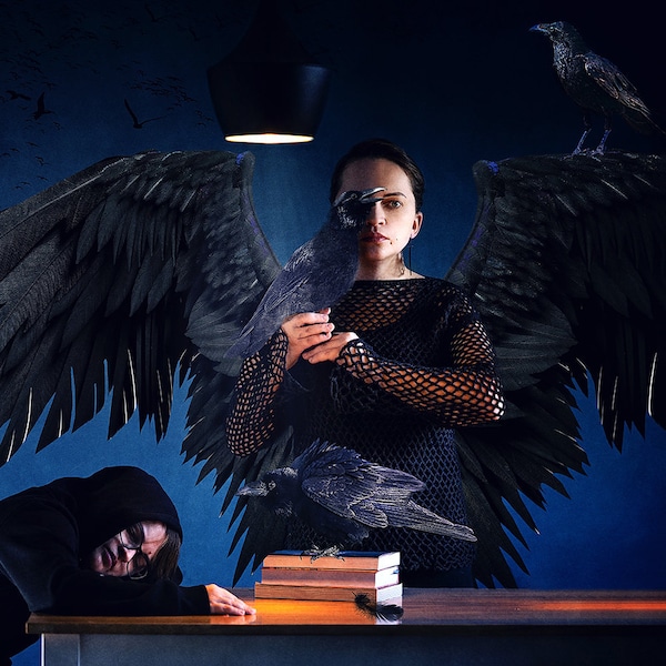 Raven Photoshop Overlays, Halloween Overlay, Photo Overlay, Realistic ...