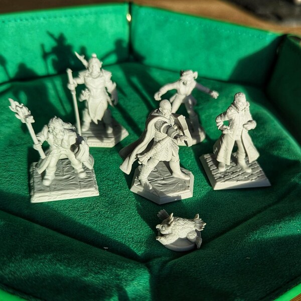 Owlin | Owlrakokra | Owlfolk | Aarakokra Druid I Wizard I Sorcerer ...