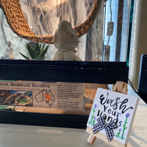 Watercolor Painting Chicken | Prints by Jen Star | Whimsical Art | Not ...