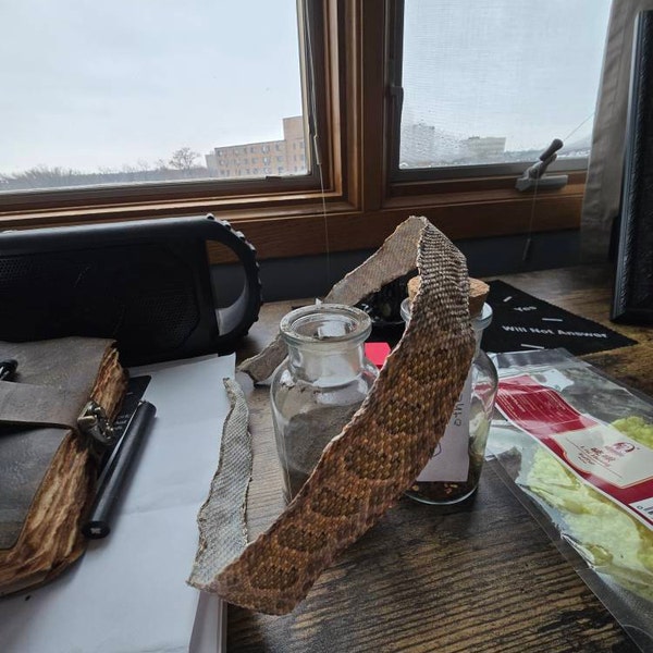 Small Oddities Mystery Box - Etsy