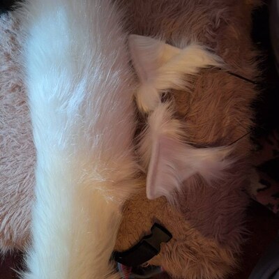 Custom Furry Cat Hand Hooves With Claws, Cosplay Furrysuit Paws for ...