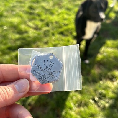 Mini Dog Tag for Dogs, the Bean, Dog Tag, Kidney Bean, Personalized ...