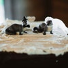 River Otter Wedding Cake Topper, Bride-groom-animal-wooden Raft-water ...