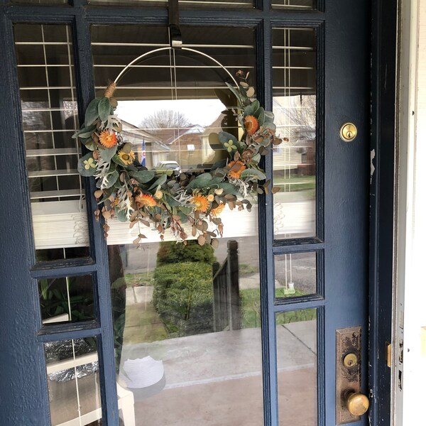 Chocolate Queen Anne's Lace Wild Carrot Ammi Seed Daucus Carota dara ...