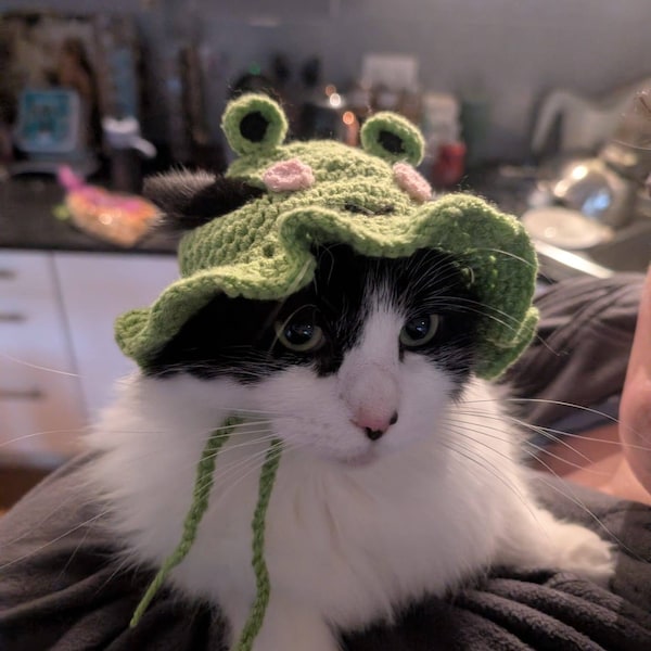 Cat Birthday Outfit | Crochet | Knitted | Letterbox Gift | Handmade ...