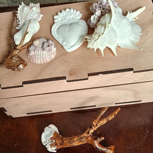 NATURAL SHELL FRAGMENTS ~ 10-100pcs ~ Wampum ~ Smooth Surf Tossed ...