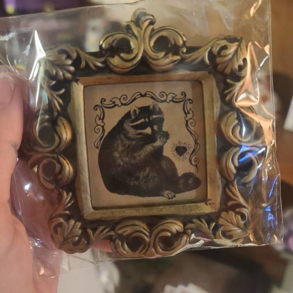 Raccoon Print in Baroque Frame - Vintage Style Art in Mini Baroque ...