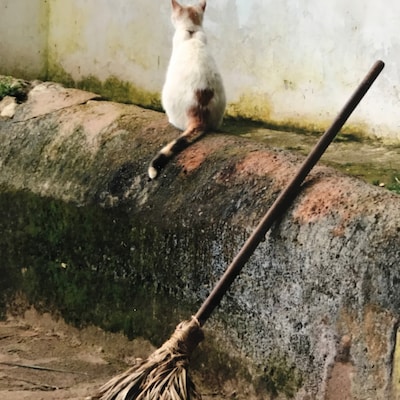 Gaudi Card. Barcelona Architecture.casa Batllo Card to Personalize ...