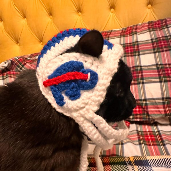 Alien Cat Costume, Toy Story Alien Cat Hat, Crochet UFO Cat Hat - Etsy