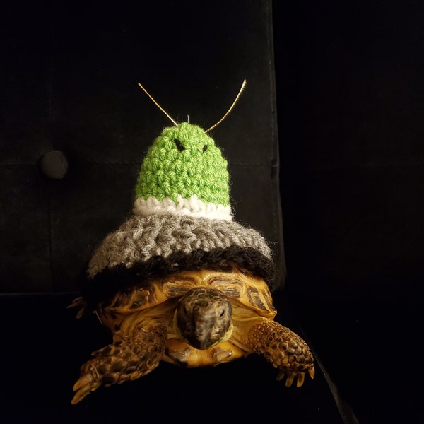 Alien in Spaceship Costume for Turtle/tortoises - Etsy