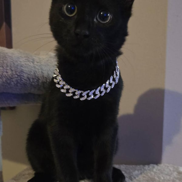 Cuban Link Dog Chain, Rose Gold Custom Pet Chain, Dog Gift, Dog Collar ...